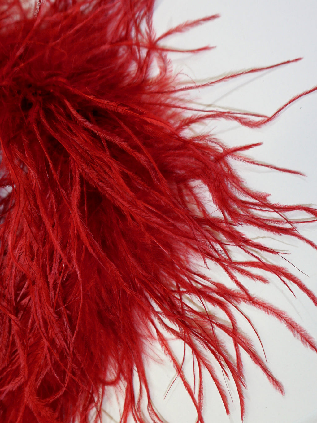 Women's Red Feather Boa