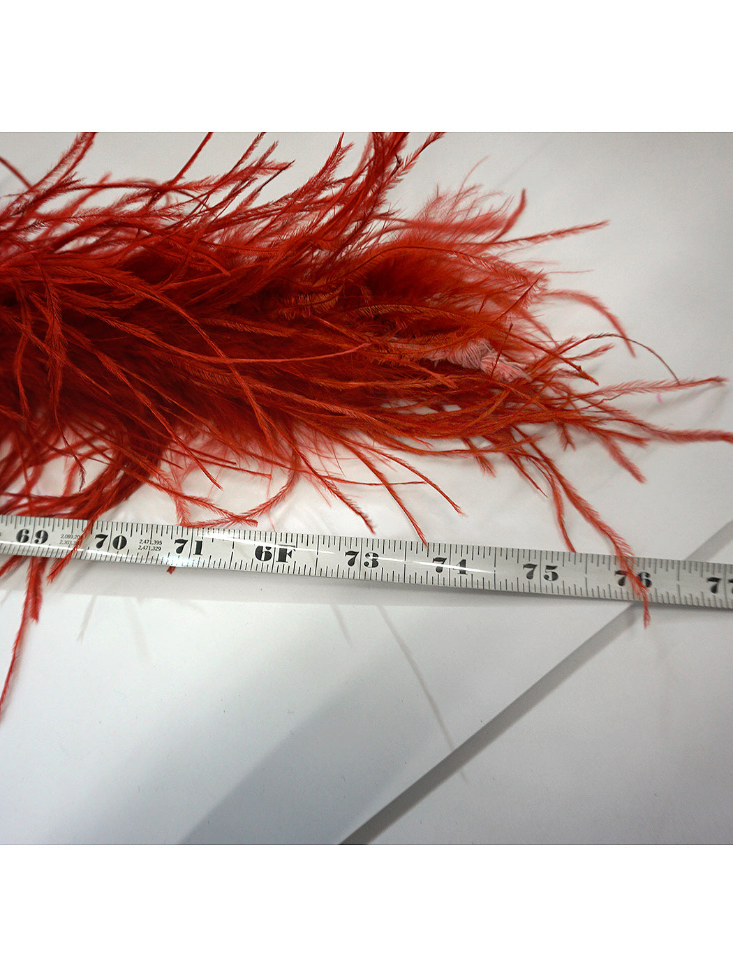 Women's Red Feather Boa